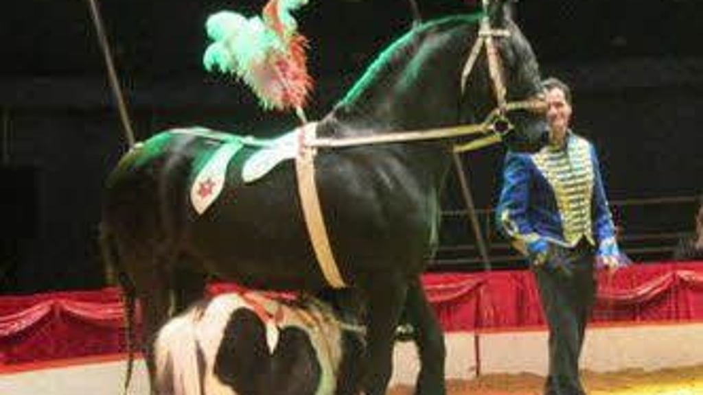 Circus Show Robini in Aken: Circus Show Robini in Aken: Vorstellungen ...
