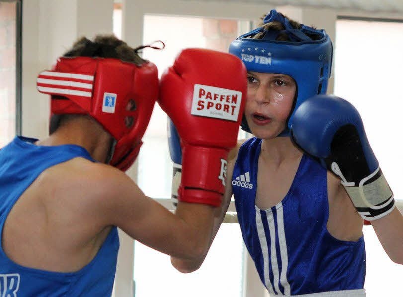 Boxen: Der Pokal kehrt zurück nach Könnern