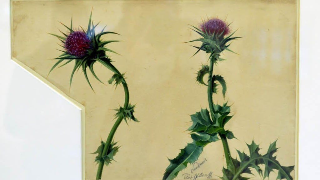 Landeskunststiftung: Landeskunststiftung: Im Sog des Blumenmalers Carl ...