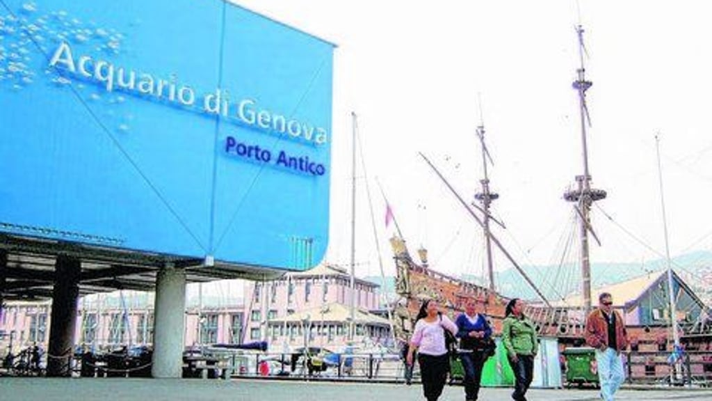 Genua: Genua: Fische in der Box