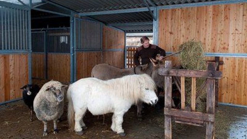 Ein neuer Stall für Esel, Pony & Co.