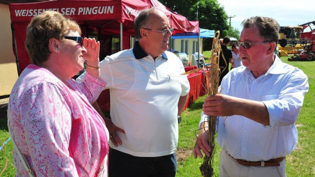 Fahrt durch die Flur