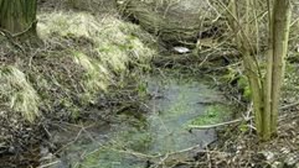 Gewässer im Landkreis: Gewässer im Landkreis: Der größte Schatz liegt ...