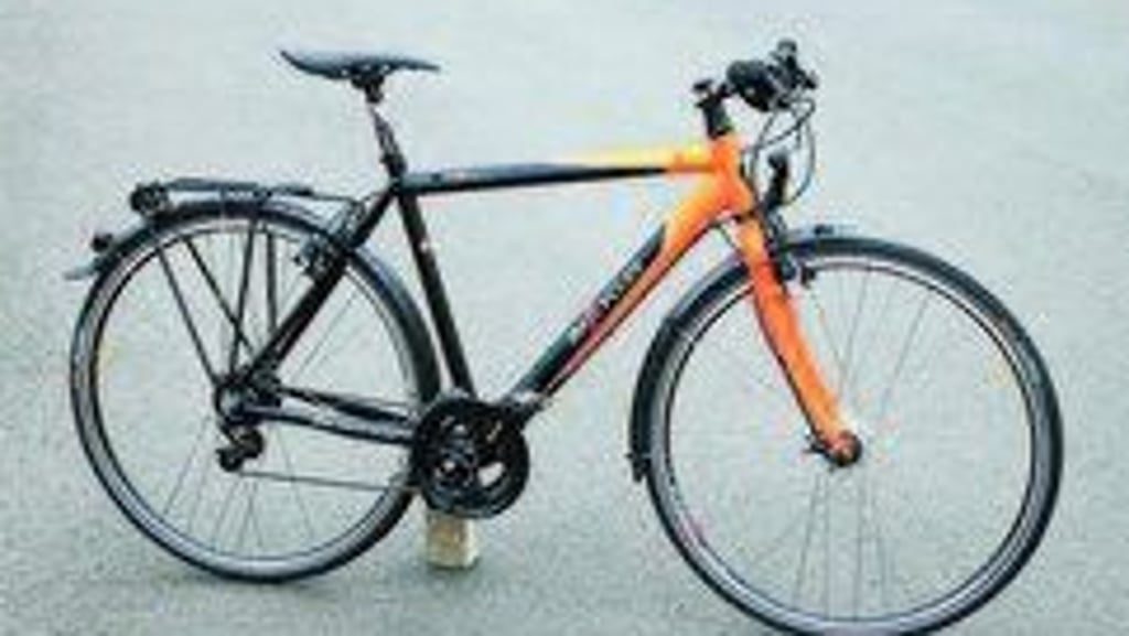 Monza von Maxcycles: Monza von Maxcycles: Leichter Fitmacher