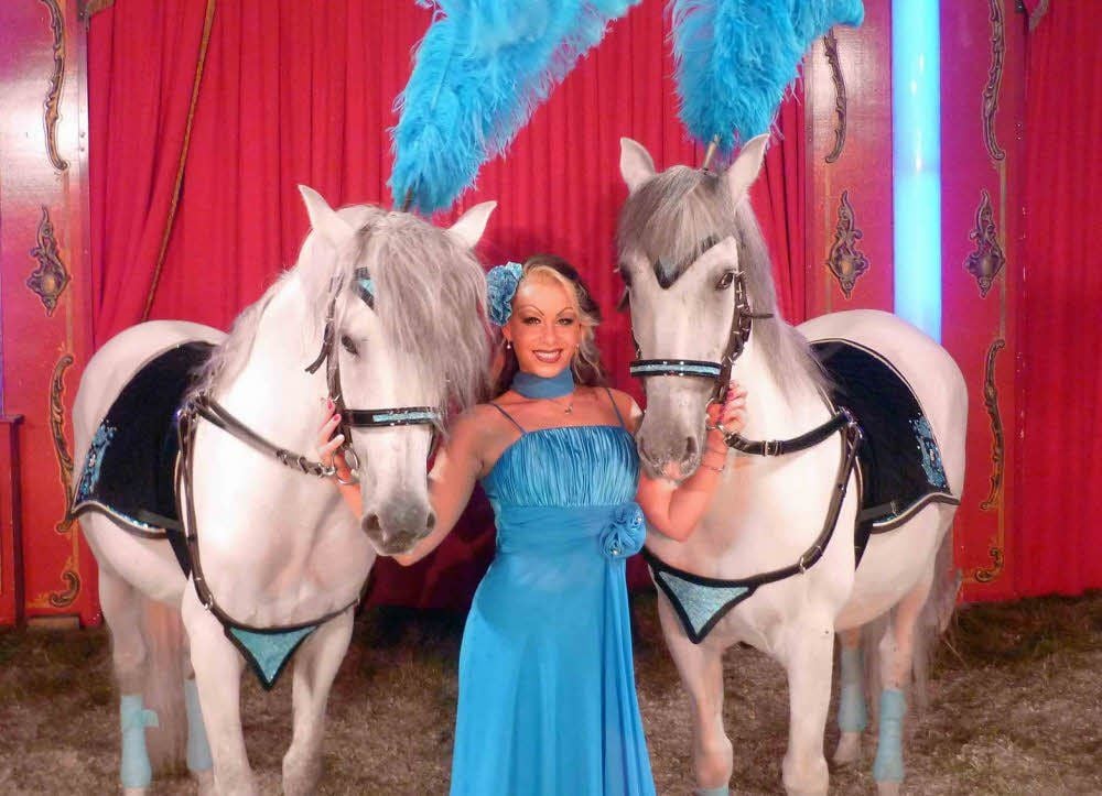 Merseburg: Merseburg: Zirkus Probst gastiert auf Rischmühleninsel