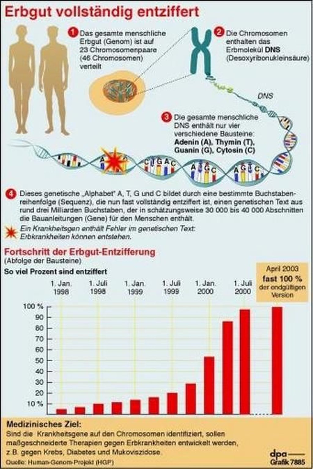 Genetik: Forscher haben menschliches Erbgut entziffert