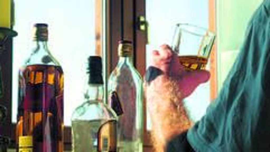 Projekt in Magdeburg: Projekt in Magdeburg: Altes Laster kommt unter ...