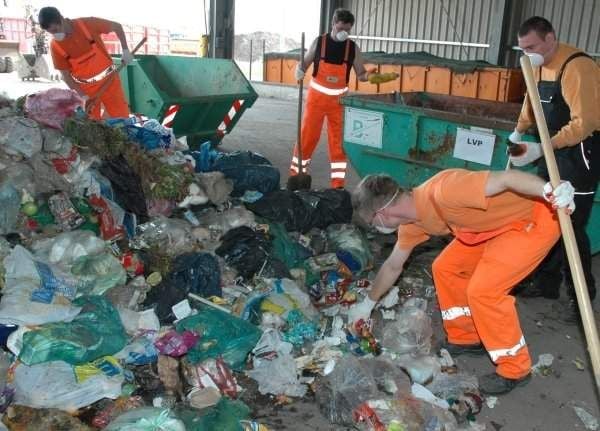 Von der Wegwerf- zur Recycle-Gesellschaft