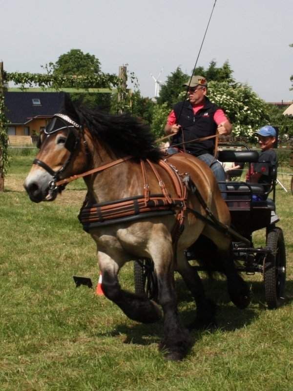 Von Ben Hur zu Robin Hood