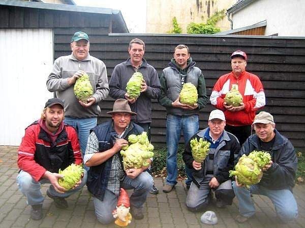 Michael Arlt wird "Kohlrabikönig": Gemüse bringt 9,1 Kilogramm