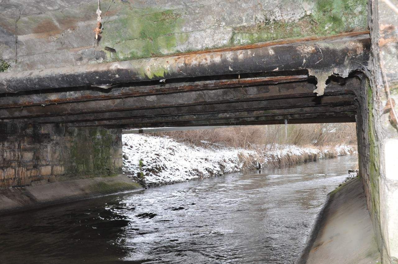 Grüner Damm wird gebaut