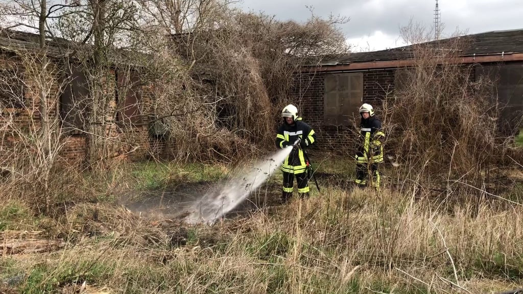Trockenes in Flammen: Trockenes in Flammen: Feuerwehr Bitterfeld muss ...
