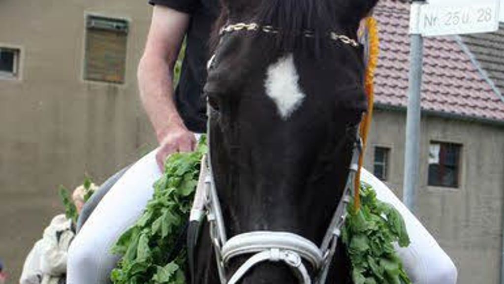 Dorffest in Zemnick: Dorffest in Zemnick: Ringreiten zum 31. Mal