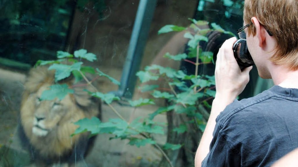Viele Auszeichnungen: Zoo Halle: Darum ist Halles Bergzoo einer der Besten Viele Auszeichnungen: Zoo Halle: Darum ist Halles Bergzoo einer der Besten