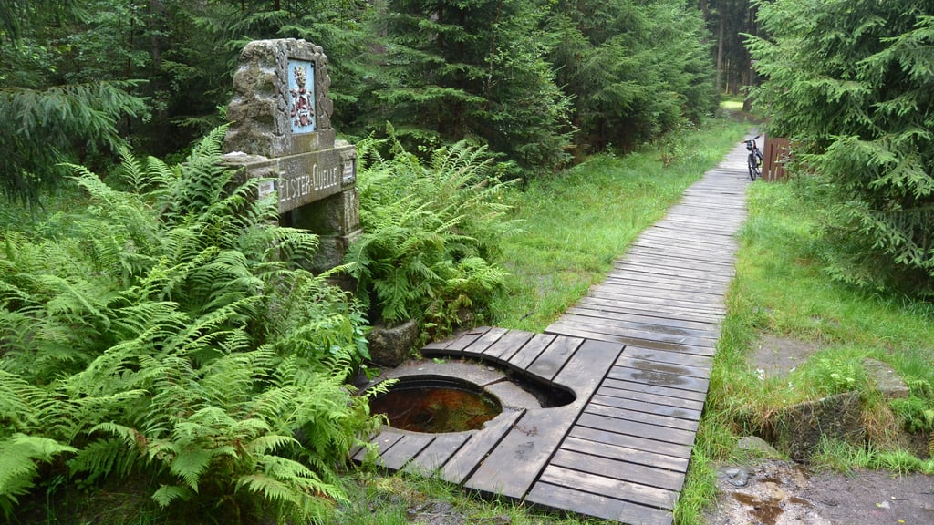 Die Quelle der Weißen Elster: Quelle der Weißen Elster: Start gleich ...