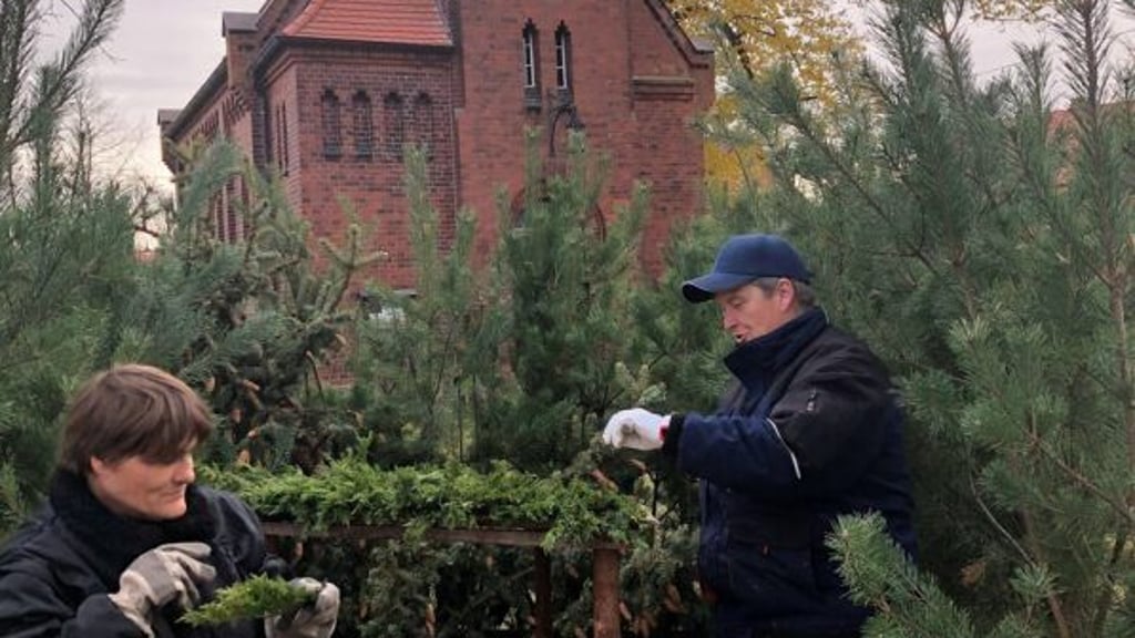Weihnachtsdorf in Zemnick: Weihnachtsdorf in Zemnick: Heporö macht ...