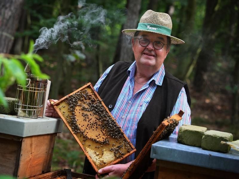 Imker haben weniger Sommerblüten-Honig