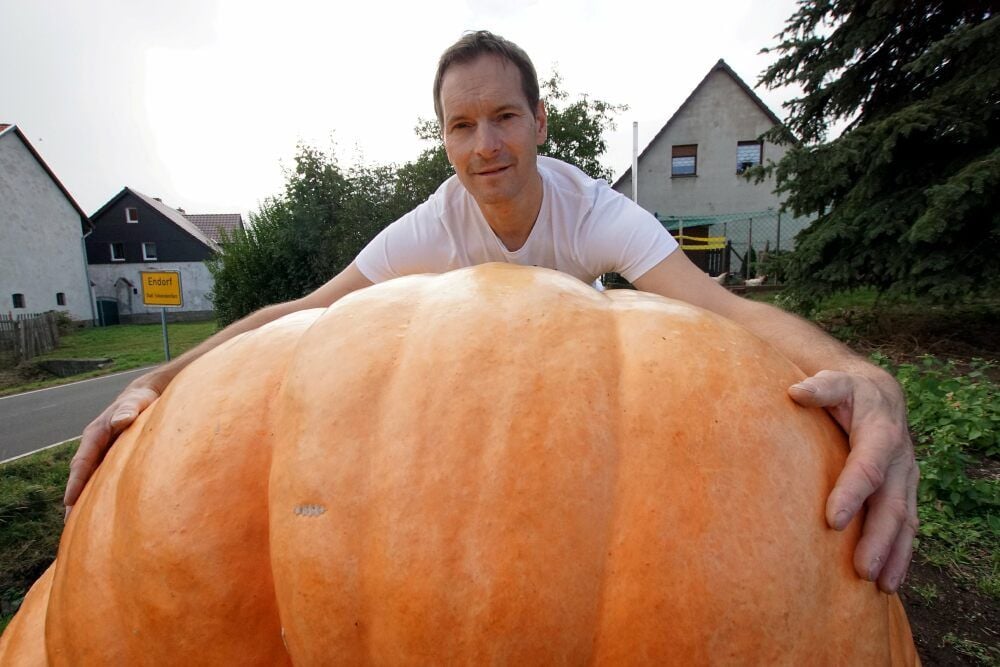 Kürbiszüchter verspricht: Kürbiszüchter Heiko Schmidt aus Endorf peilt 5000 Kilogramm an ...