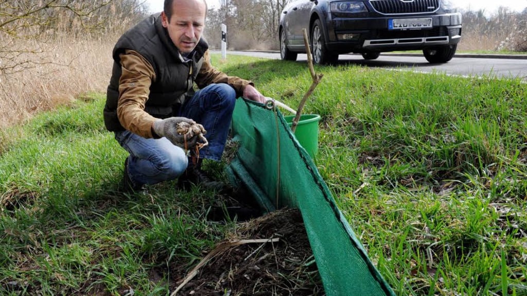Der Kröten-Retter in Seeburg: Der Kröten-Retter in Seeburg: Tim Appel ...