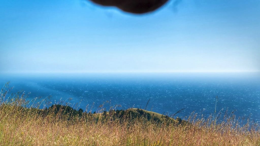 Fototrend?: Fototrend?: Nutscaping - wenn Männer ihre Hoden vor schönen ...