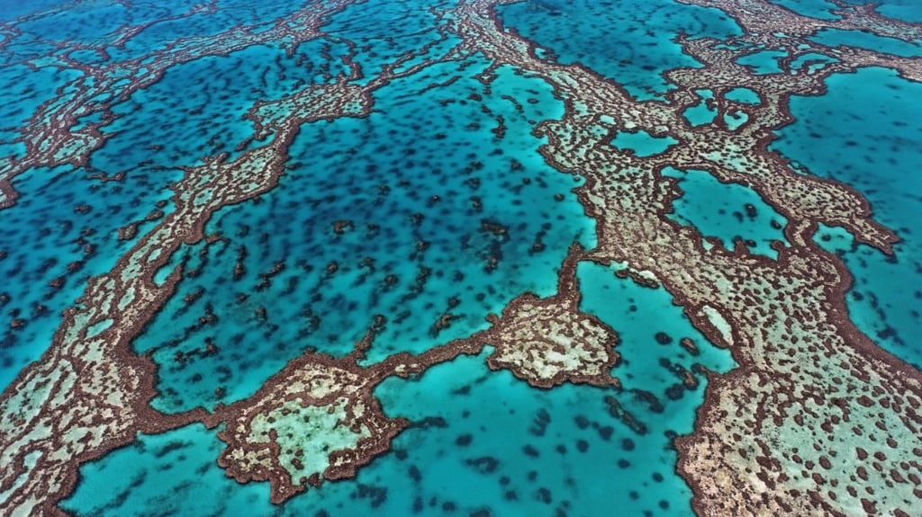 Rettung des Great Barrier Reefs: Rettung des Great Barrier Reefs ...