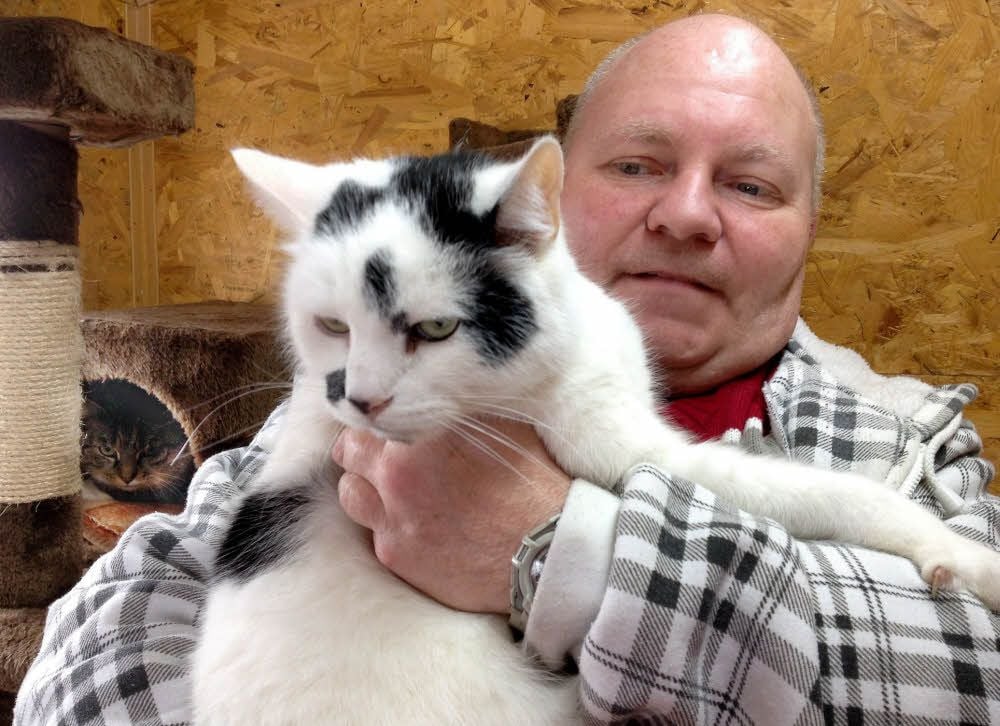 Tierheim Zeitz sucht Katzenfreunde: Tierheim Zeitz sucht Katzenfreunde ...