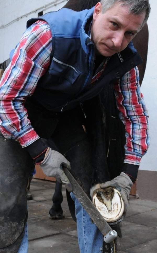 Wie Ali Decker aus Werkleitz den Pferden im Land ihre Lauffreude zurückgibt