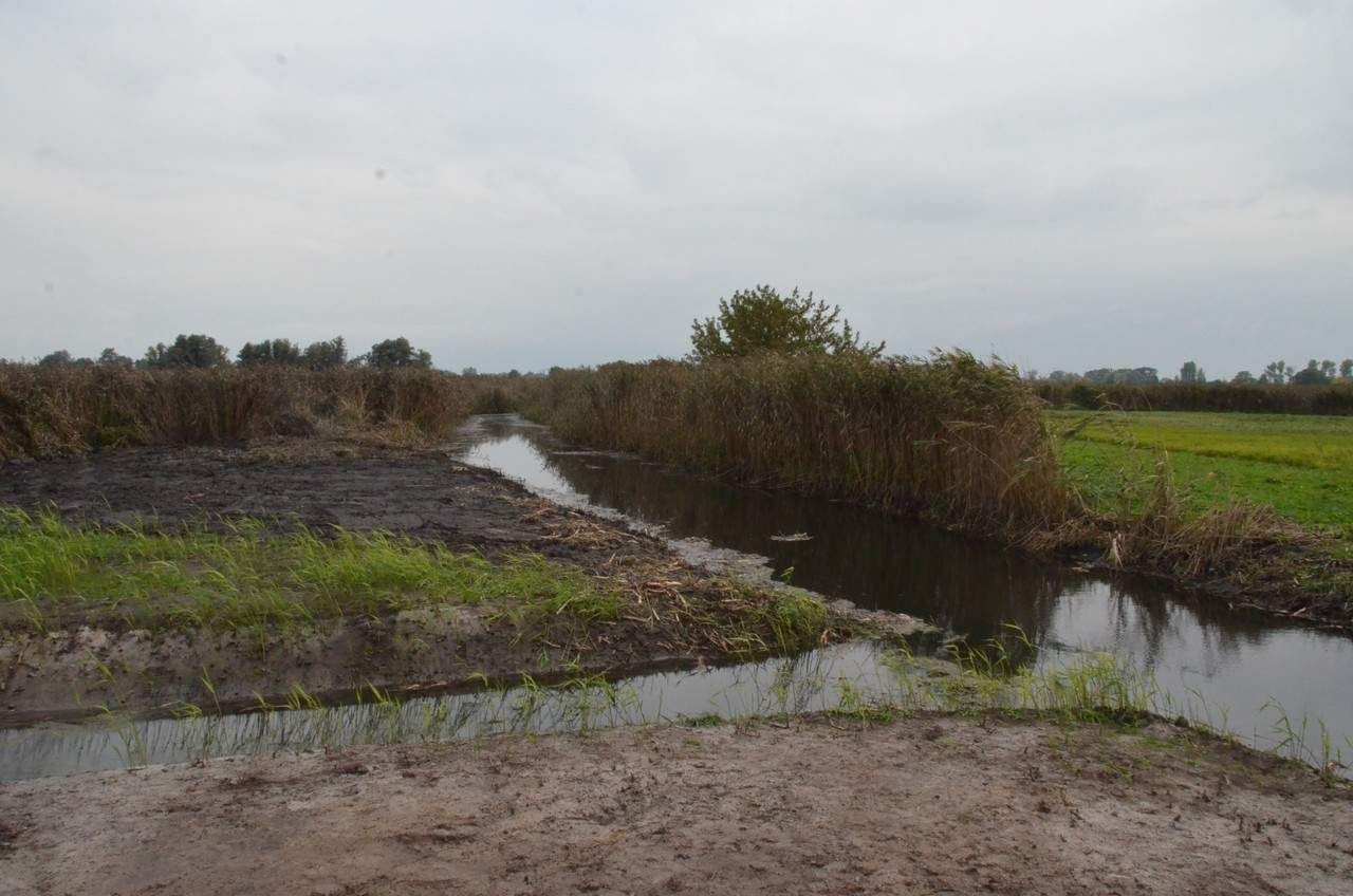 Dunau wird besser durchströmt