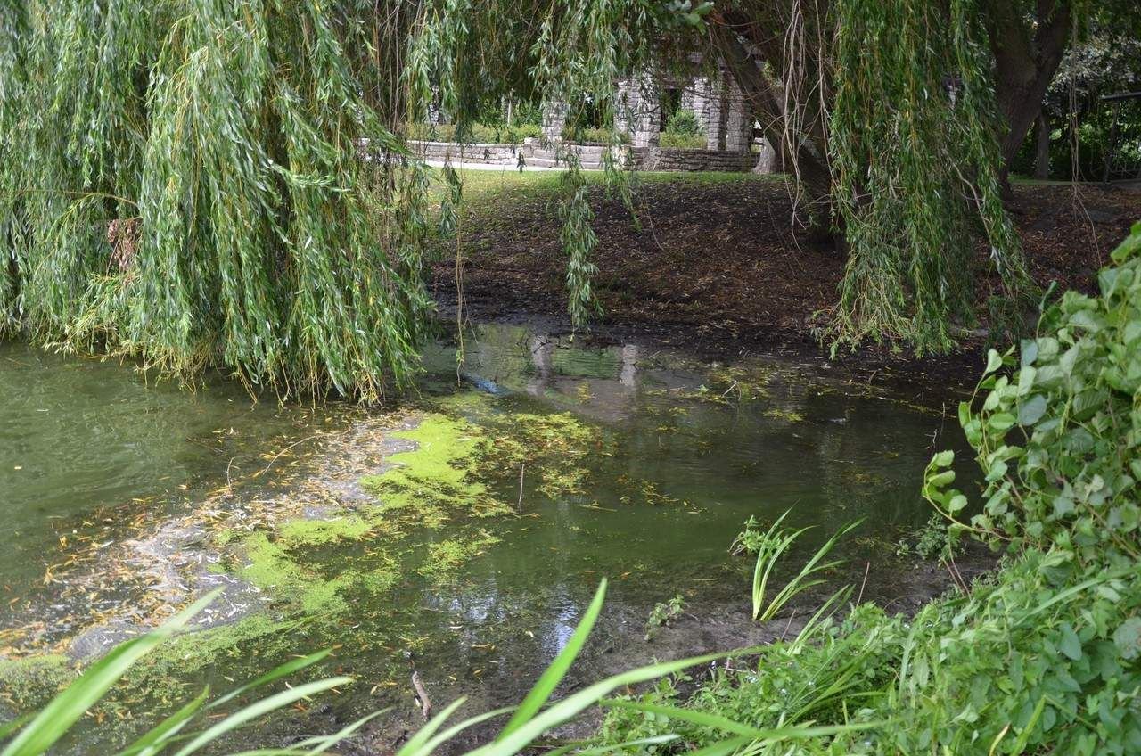 Der Gestank nimmt zu