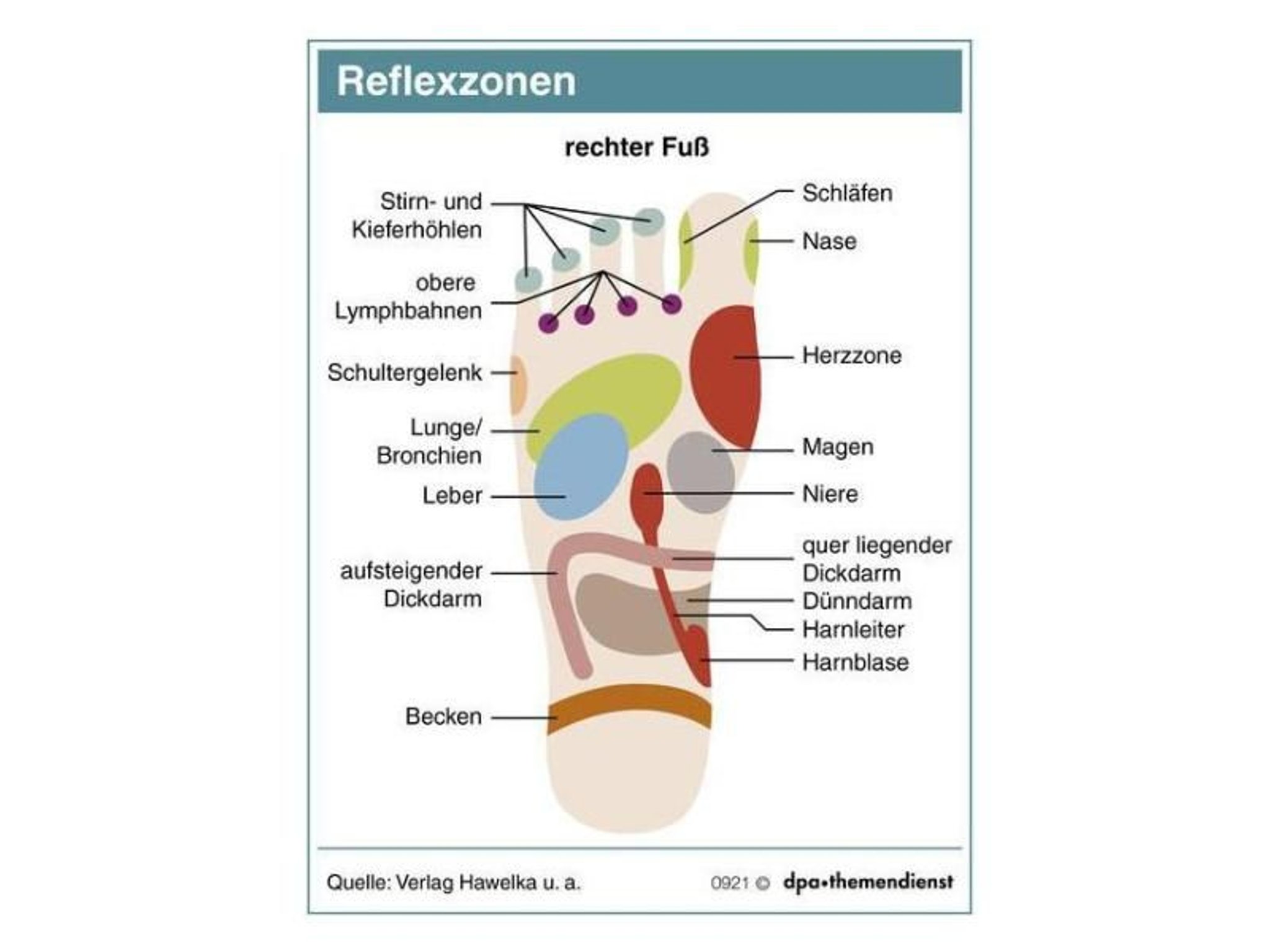 Fußreflexzonen: Das muss bei der Massage beachtet werden