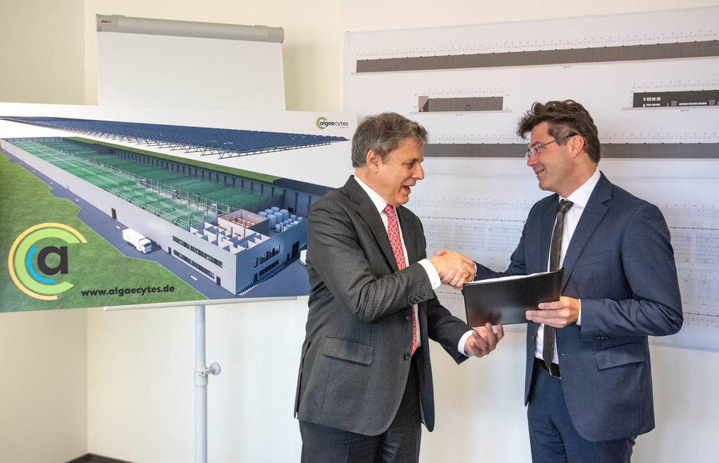 Baugenehmigung für weltgrößte Algenfarm in Dessau ist unter Dach und Fach