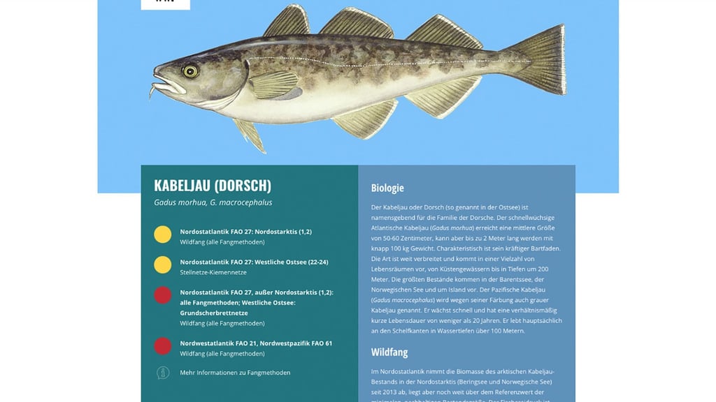 Fisch essen mit gutem Gewissen