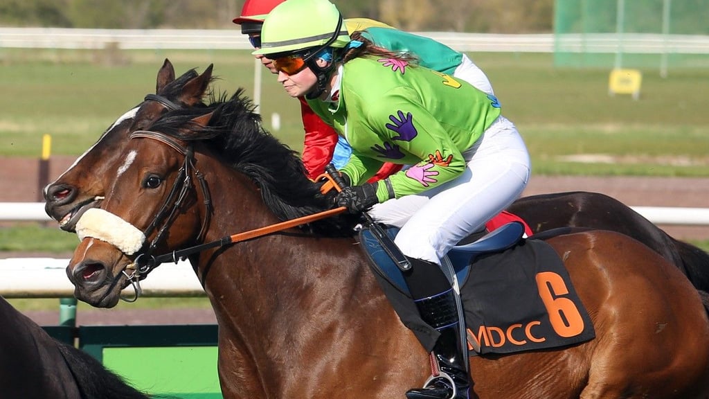 Fuhrmann-Pferd startet bei Galopp-Rennen für den guten Zweck