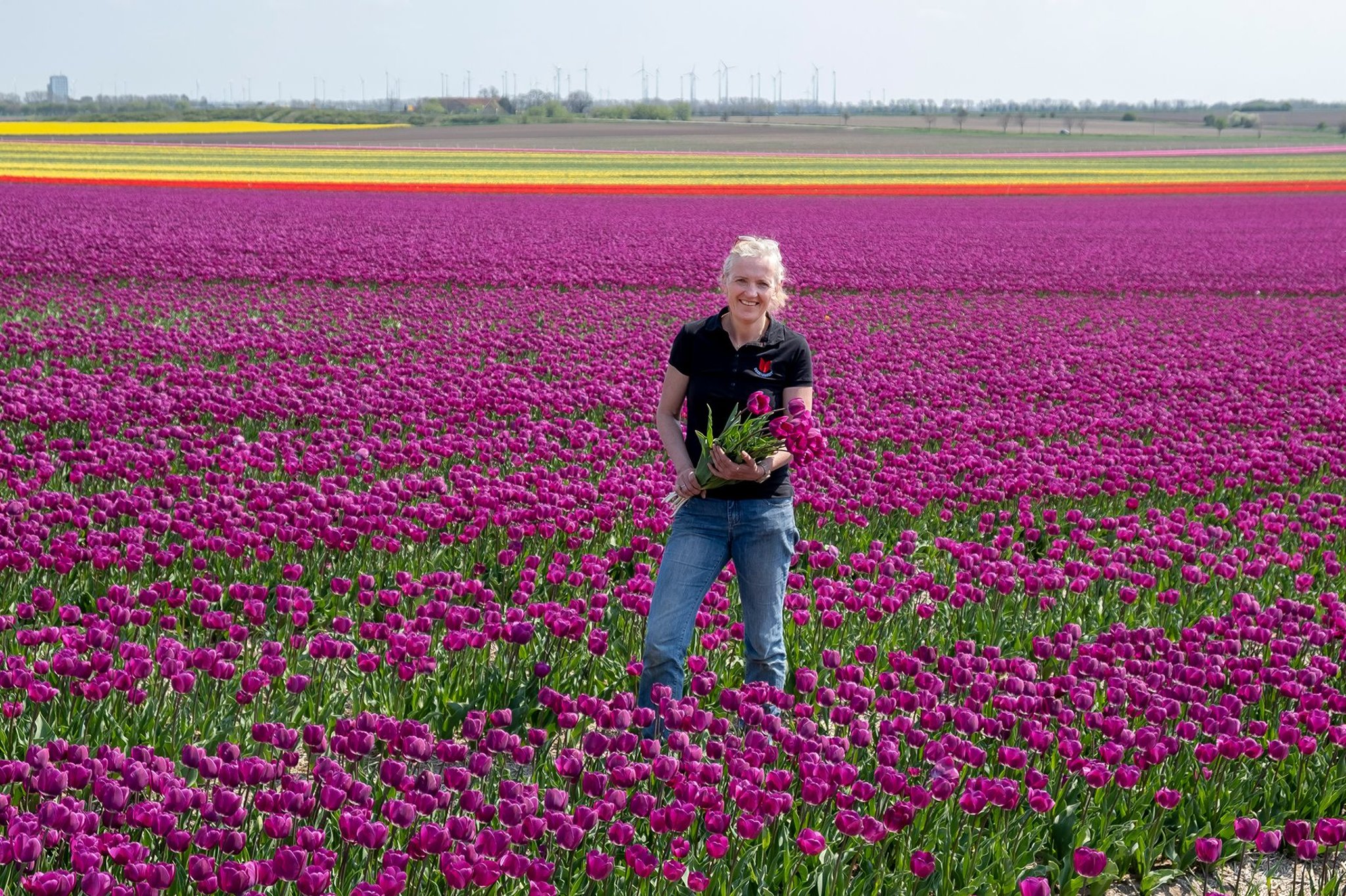 Instagram-Hotspot in Schwaneberg: Europas größte Tulpenfelder liegen in ...