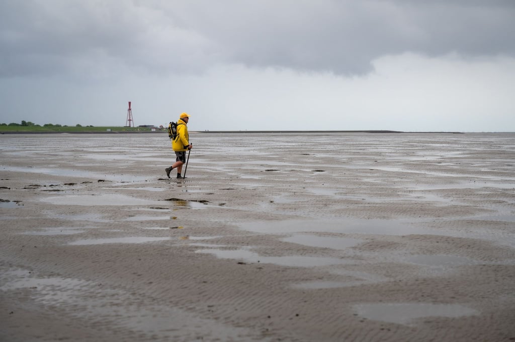 Schweigend durchs Wattenmeer wandern
