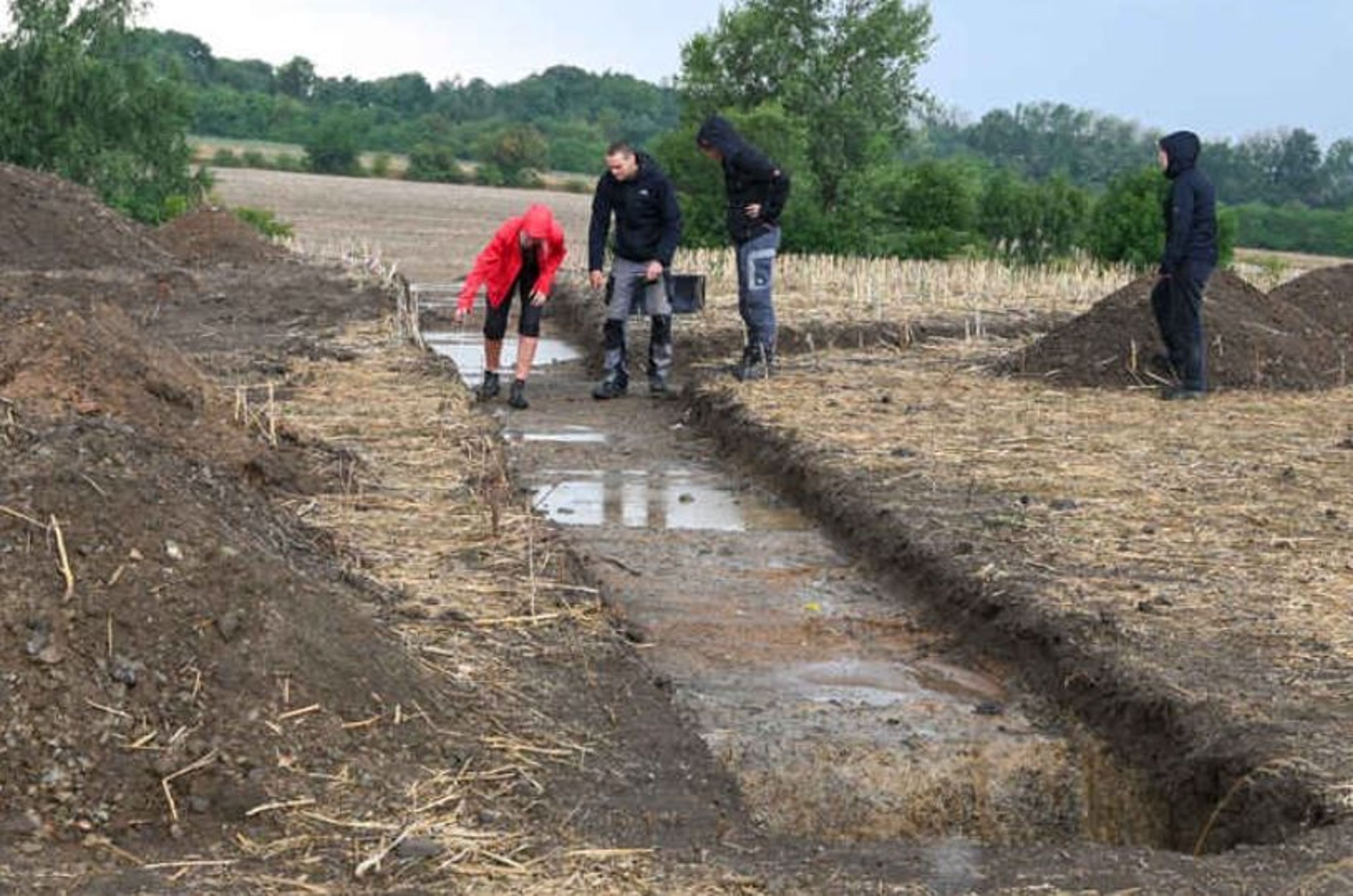 Tote Am Galgen: Grausiger Fund im Harz: Zu wem gehören die Knochen bei ...