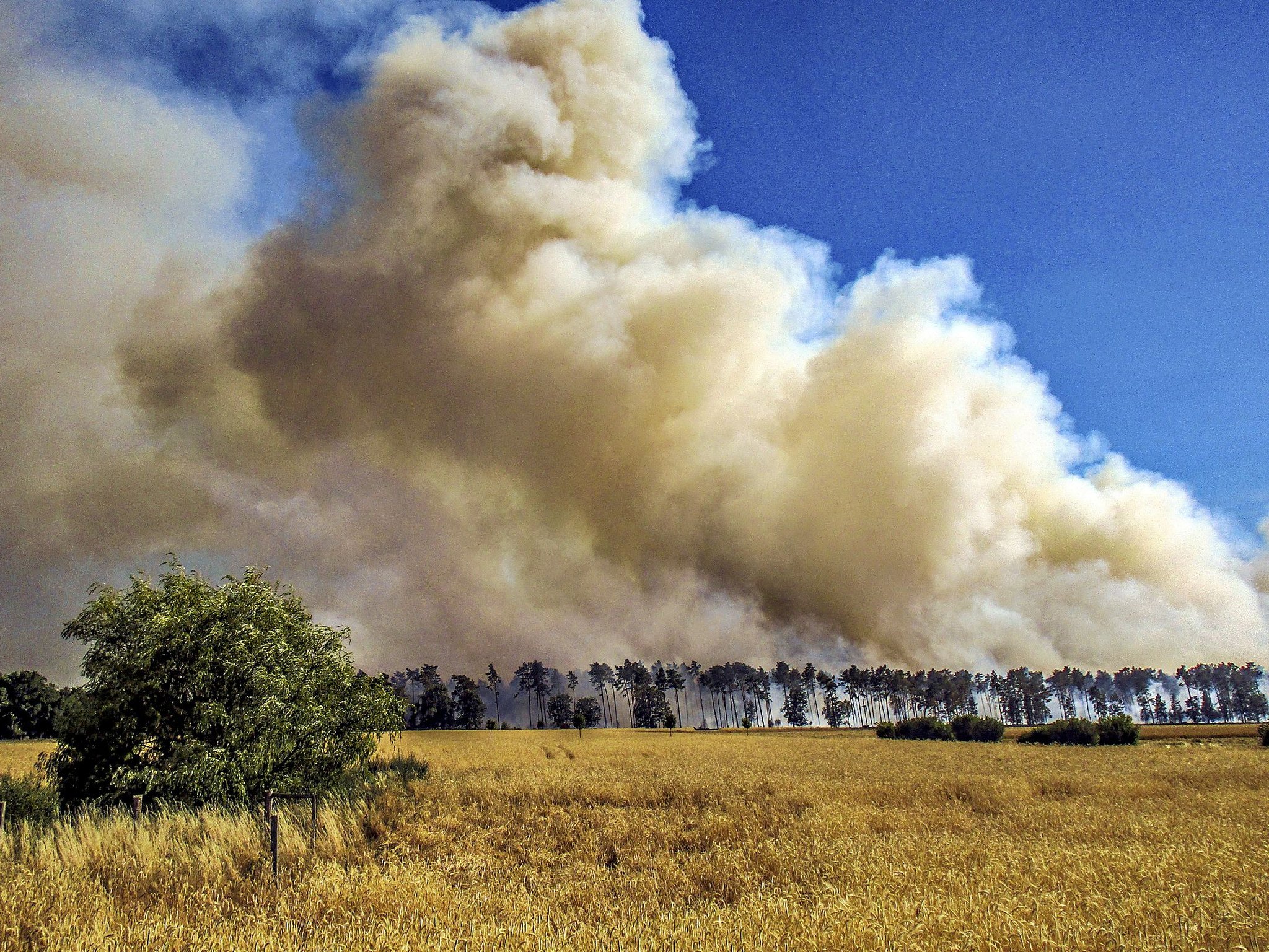 Hätte der Brand verhindert werden können?: 680.000 Schaden durch ...