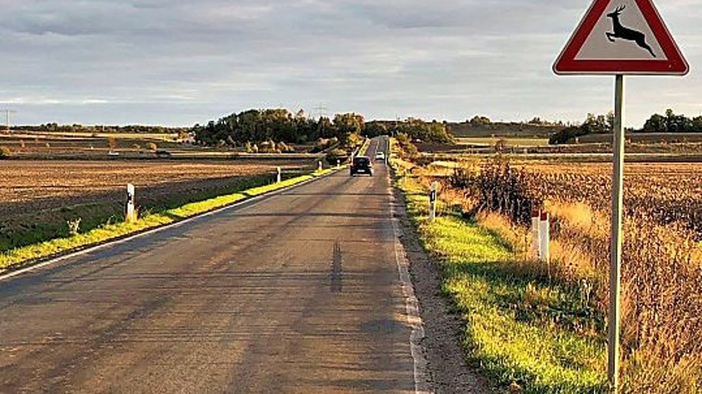 Bauarbeiten: Straße zwischen Westerhausen und Abzweig zur B 79 ab ...