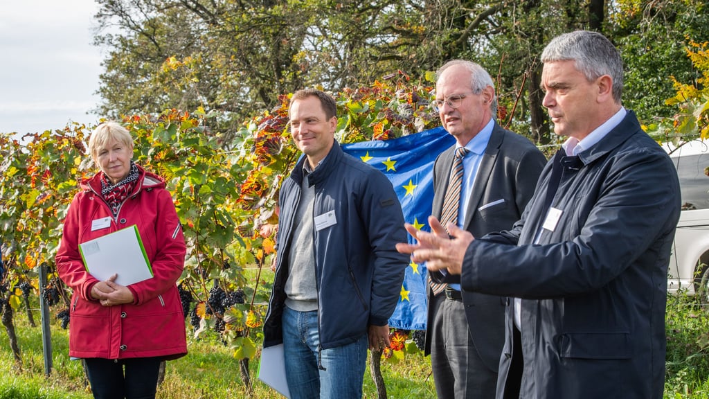 Landgesellschaft Sachsen-Anhalt: Der Nächste geht - Landesweingut-Chef ...