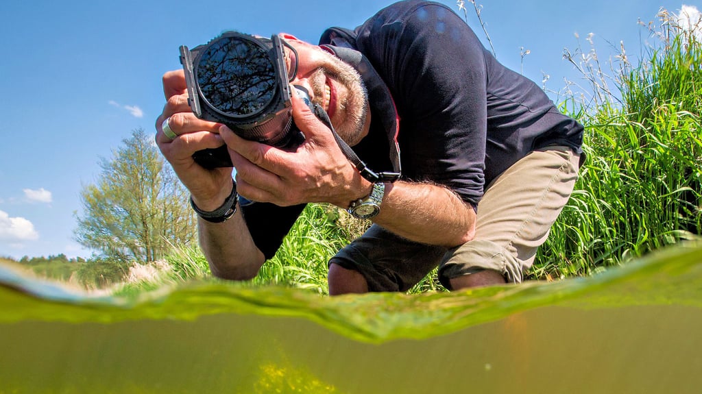 Die wilde Natur vor der Haustür: Einmal den Fluss entlang ...