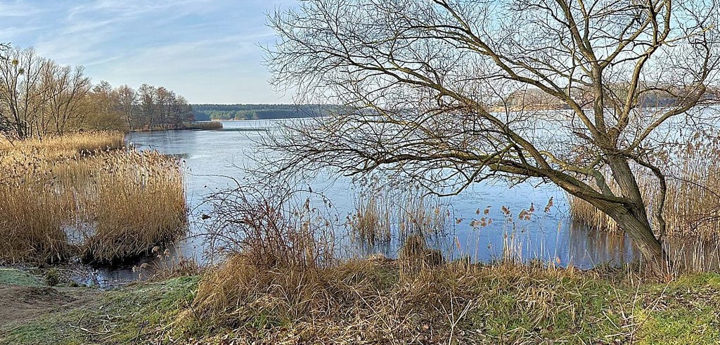 Stellplätze für Reisemobile: Wie Burg bei Magdeburg vom Städtetourismus ...