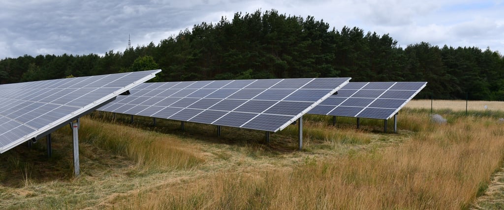 Leitfaden verabschiedet: Beetzendorf zeigt klare Kante gegen Solar ...