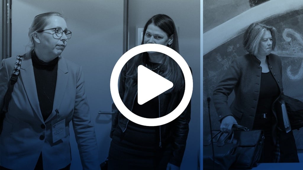 Cold Case Fall Inga: Mit Video: Was lief verkehrt bei Ermittlungen im ...