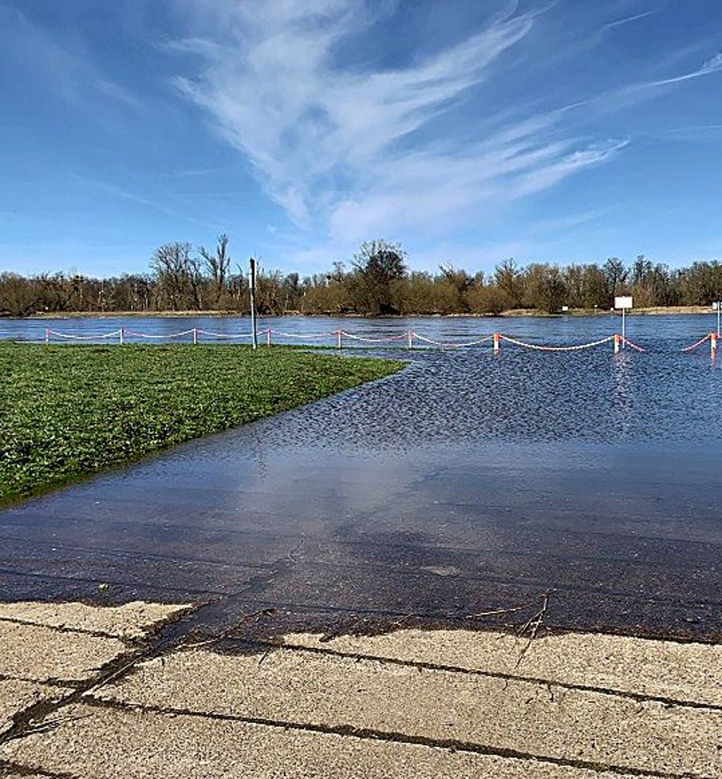 Hohe Wasserstände: Zehn Jahre nach Hochwasser in Aken - Elbe überschreitet die Vier-Meter-Marke