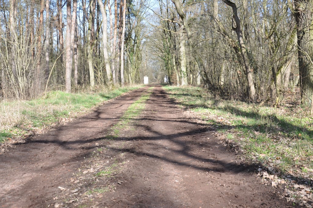 Radweg: Stadt Osterburg legt mit Planung für neue Radlerpiste los