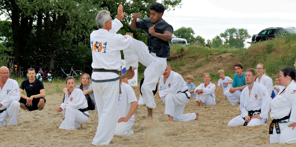 Pareyer Teakwon Do-Center: Pfingstcamp mit Großmeister Gerhard Brunner