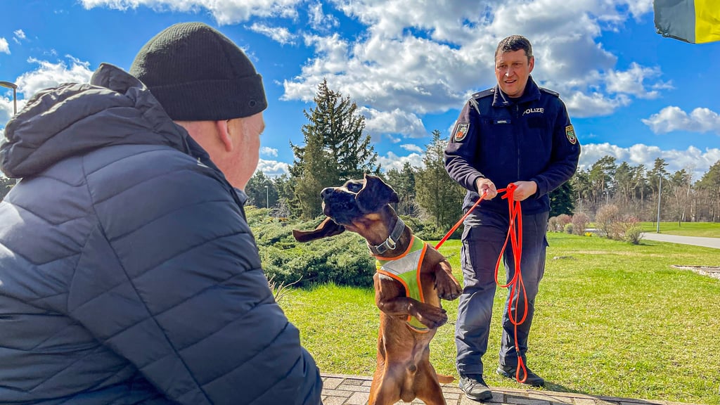 Video: Wie Sachsen-Anhalts Polizei ihre Spürhunde ausbildet