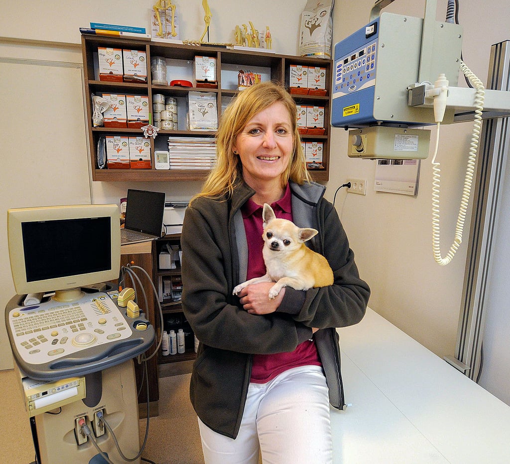 Veterinärmedizin im Burgenlandkreis: Angekommen bei sich selbst - Wie ...