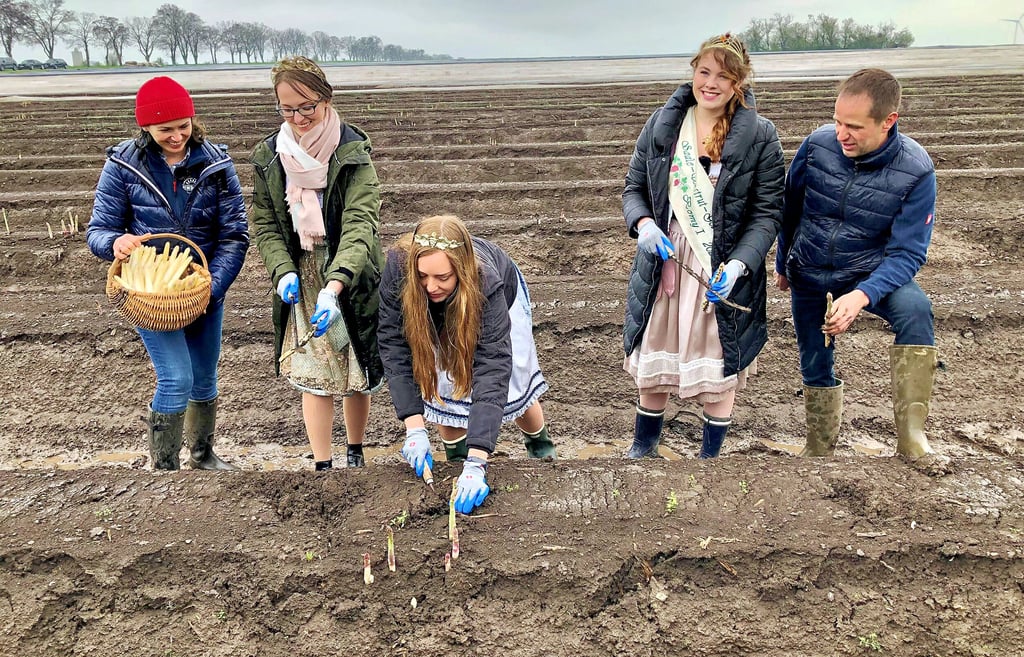Landwirtschaft im Saalekreis: Gute Neuigkeiten zum Spargelanstich in ...