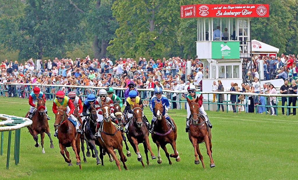 Galopp: Magdeburger Renn-Verein putzt sich für Saison-Auftakt heraus